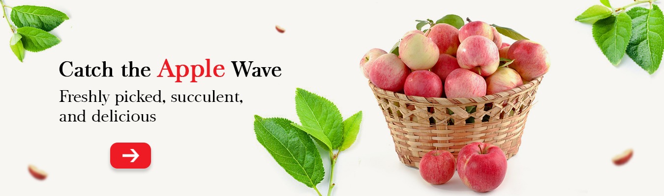 Atcost.in | Your money buys a LOT MORE ... With Us